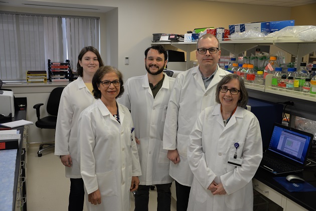 Albany Medical College Awarded $2.4M to Study Chronic Hepatitis B ...